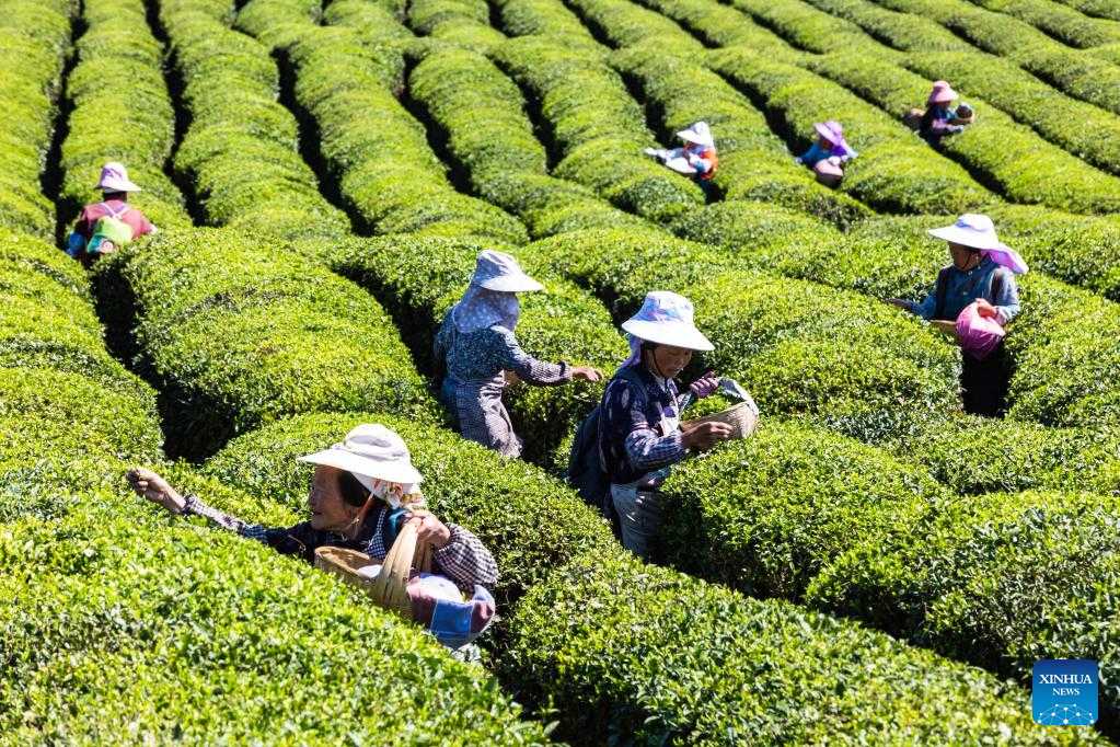 Farmers busy with farm work around Qingming across China-China Story